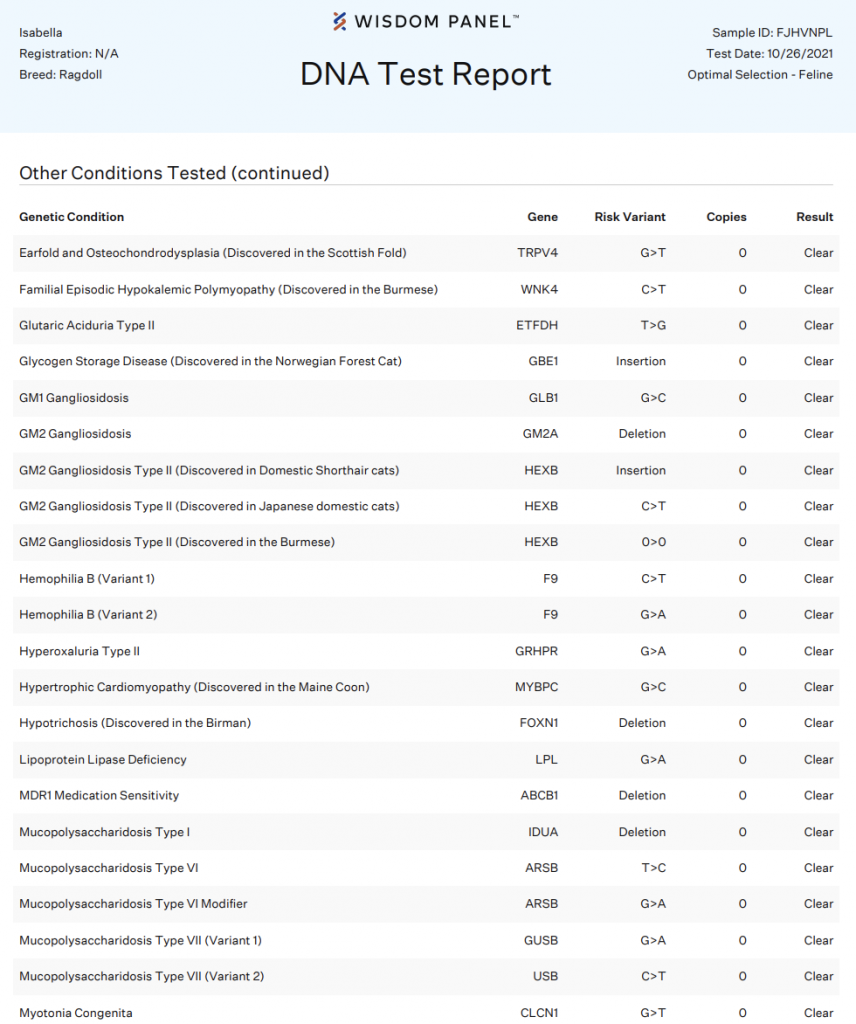 RagPurfect Ragdolls – NYC Area | TICA & CFA Registered